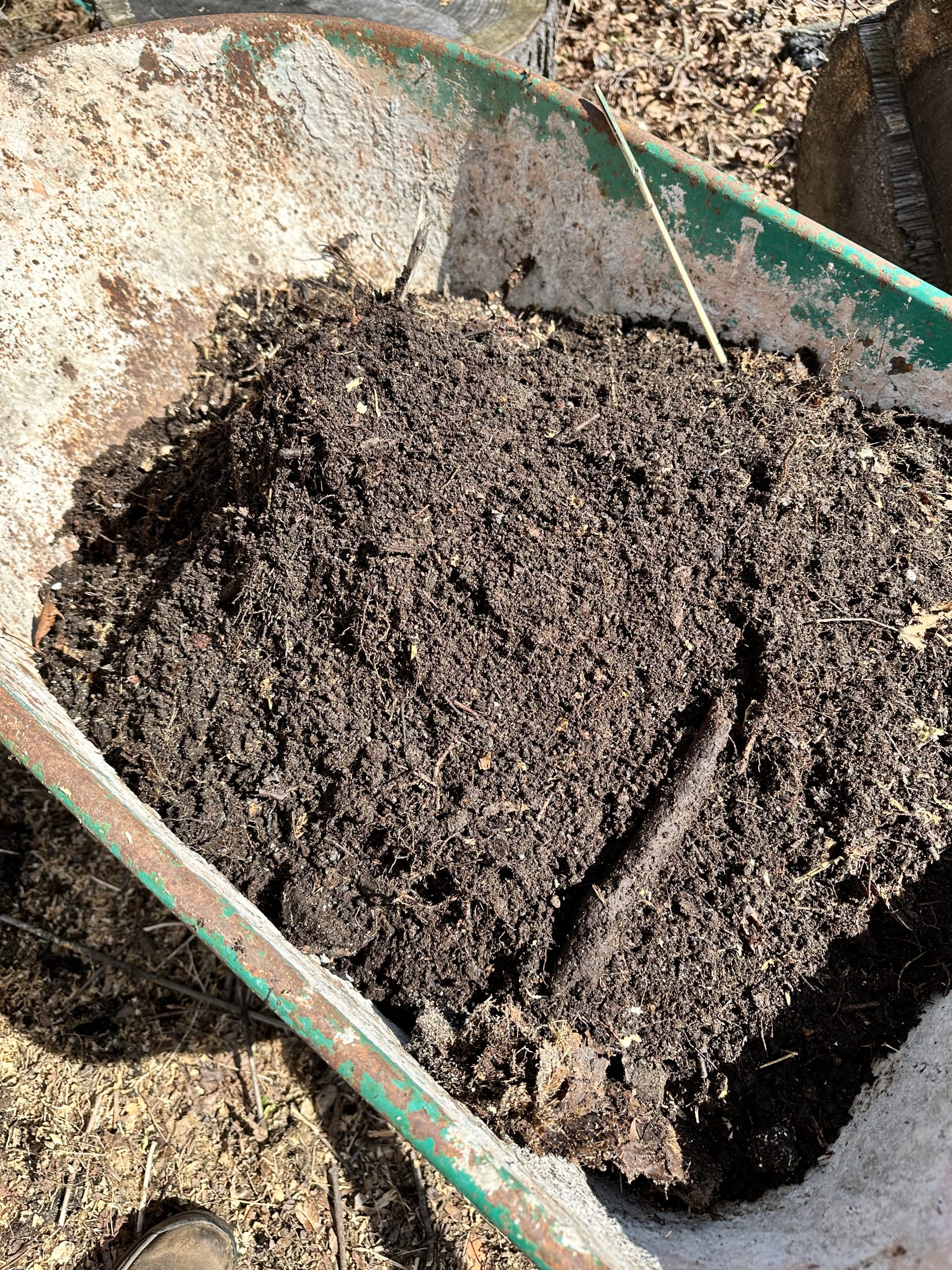 Week of March 25, 2024 – Chuck Grimmett