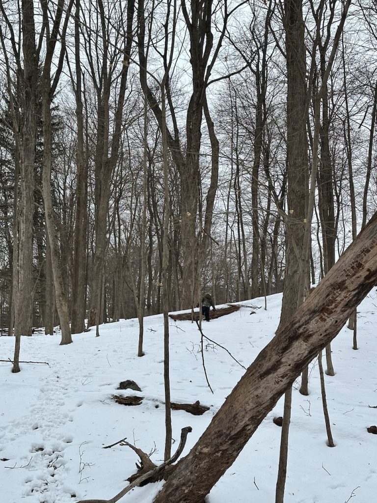 Winter gift for the birds – Chuck Grimmett